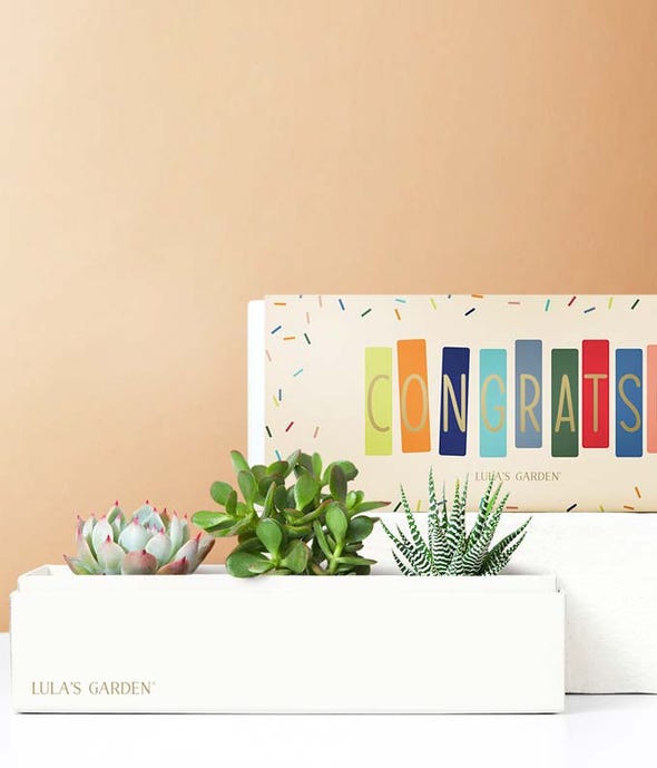 Congratulations Plants - SendPlants