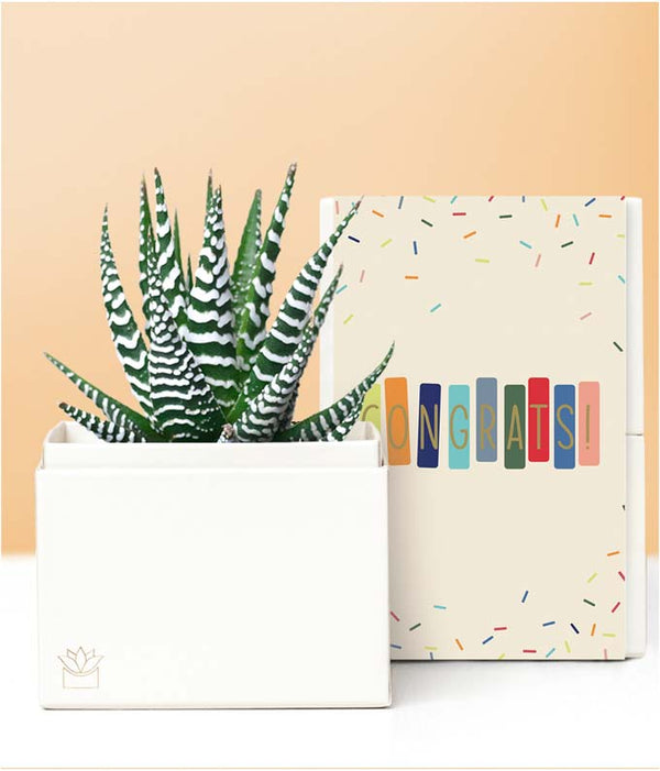 Congratulations Plants - SendPlants